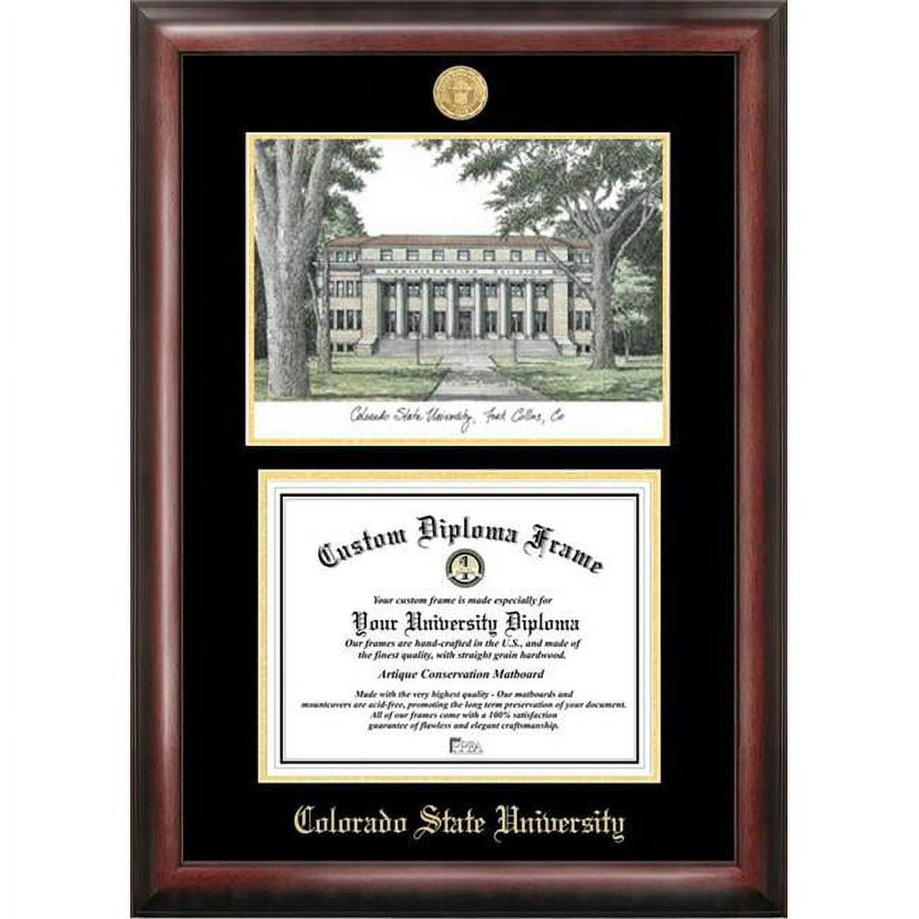 Campus Images Colorado State University Gold embossed diploma frame ...