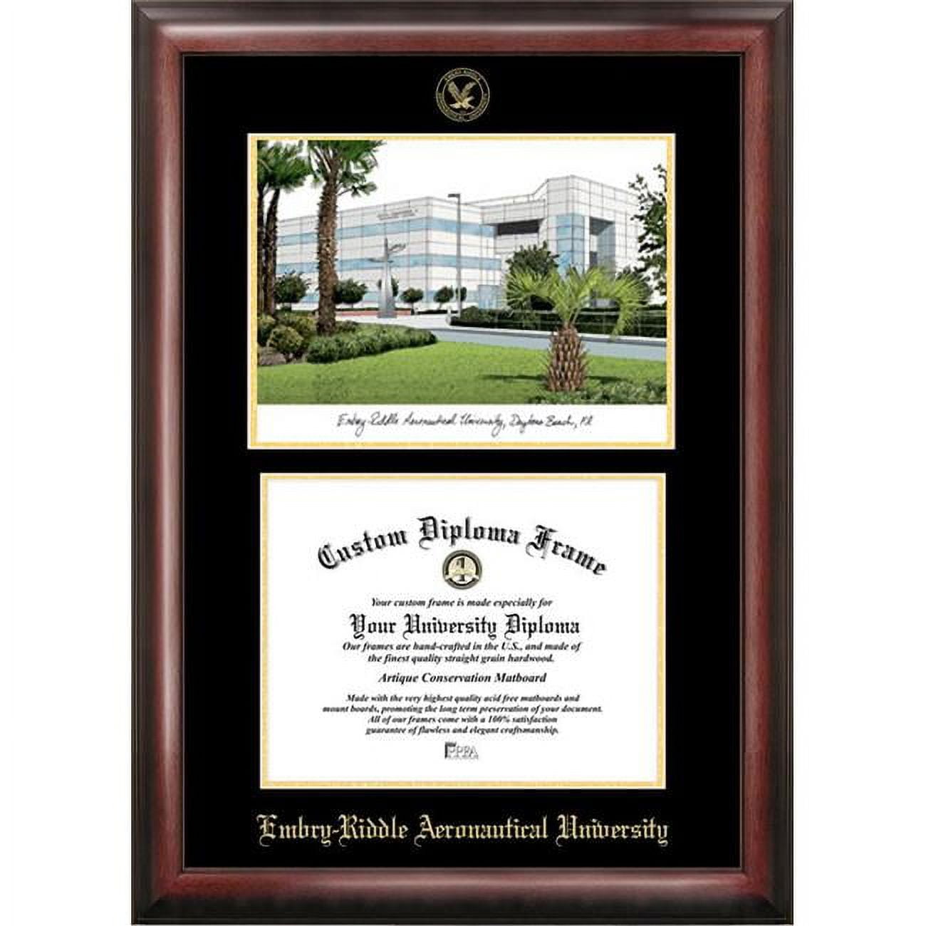 Campus Images Embry-Riddle University Gold embossed diploma frame with ...