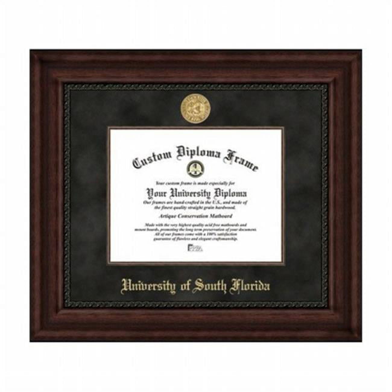Campusimages FL989EXM University South Florida Executive Diploma Frame ...