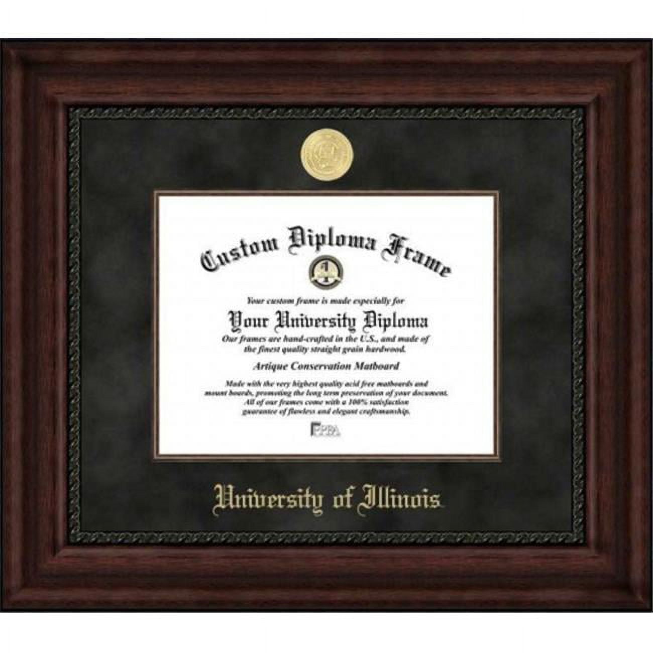 Campusimages IL976EXM University of Illinois Executive Diploma Frame ...