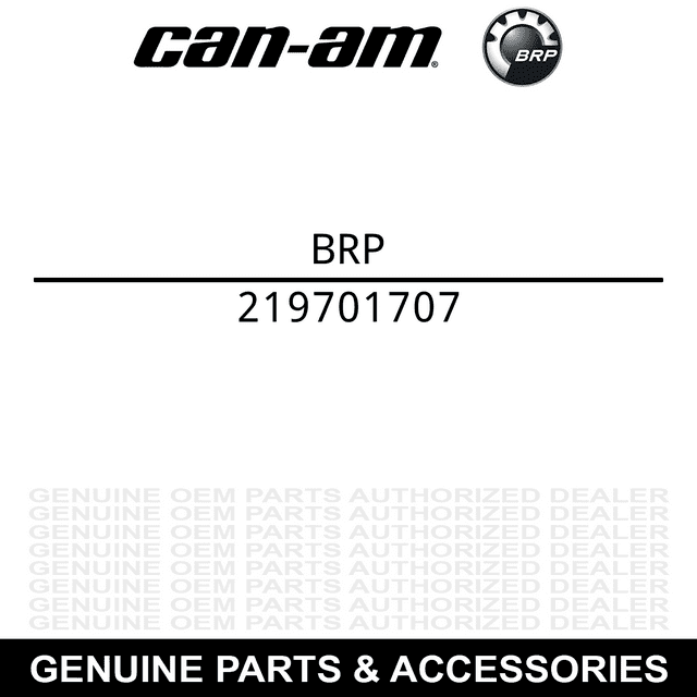 Can-Am 219701707 OEM 8 oz. XPS Chrome Metal Polish for - Walmart.com