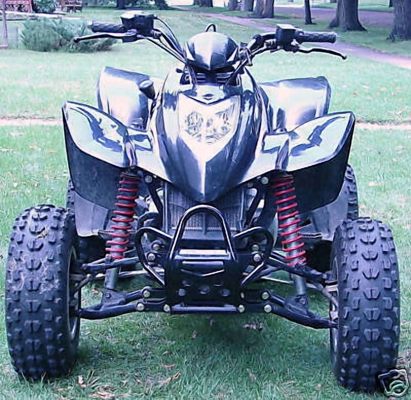 250 Arctic Cat Dvxnull