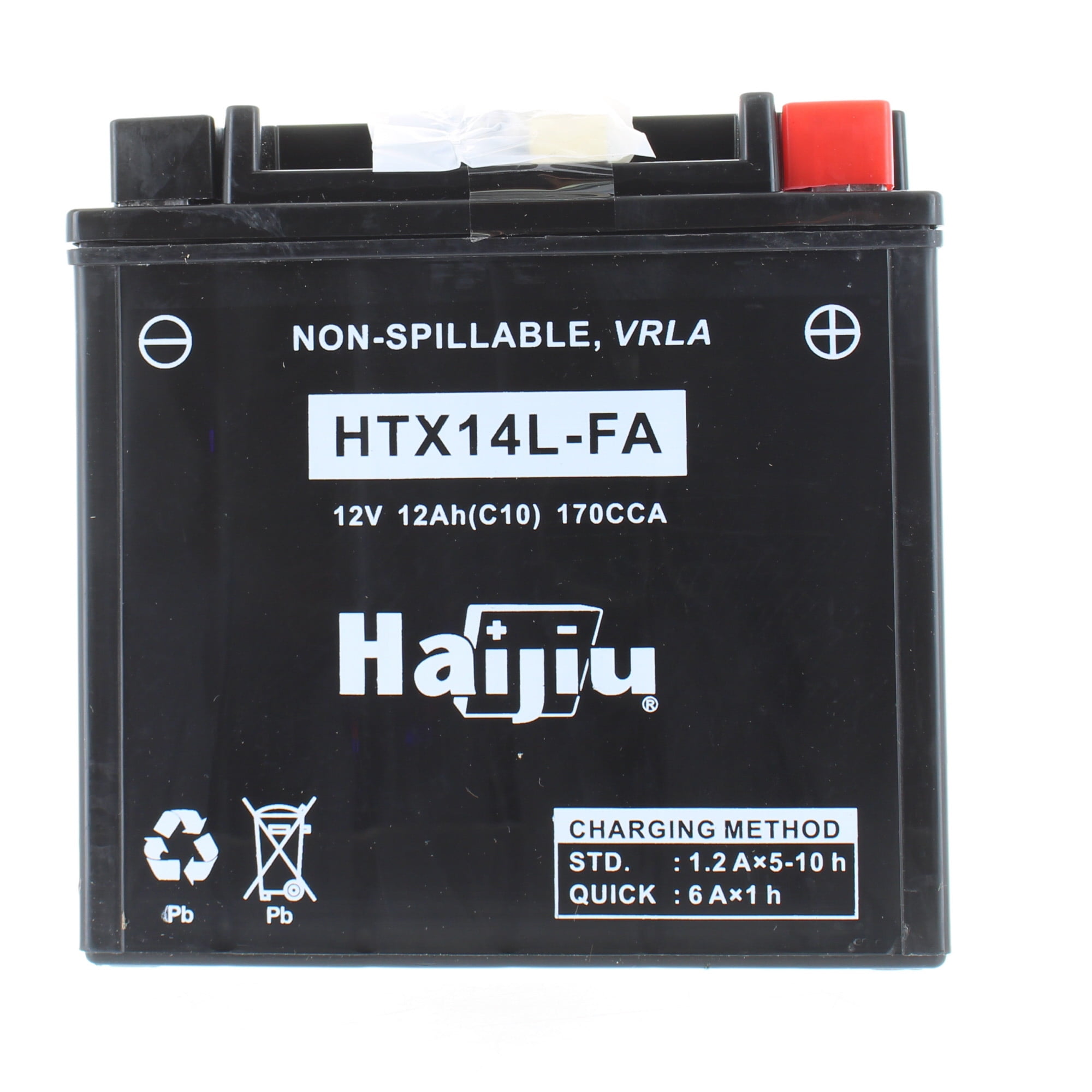 Can-Am New OEM Battery_12 Volt 12Ah, 219800540 - Walmart.com