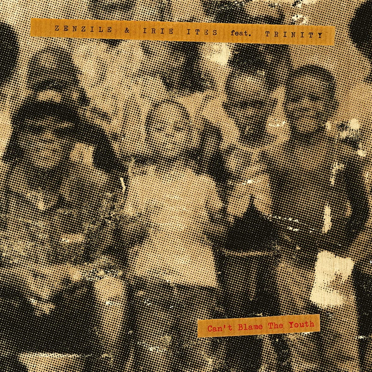 Irie Ites Can't Blame The Youth (Vinyl Record) - Walmart.com
