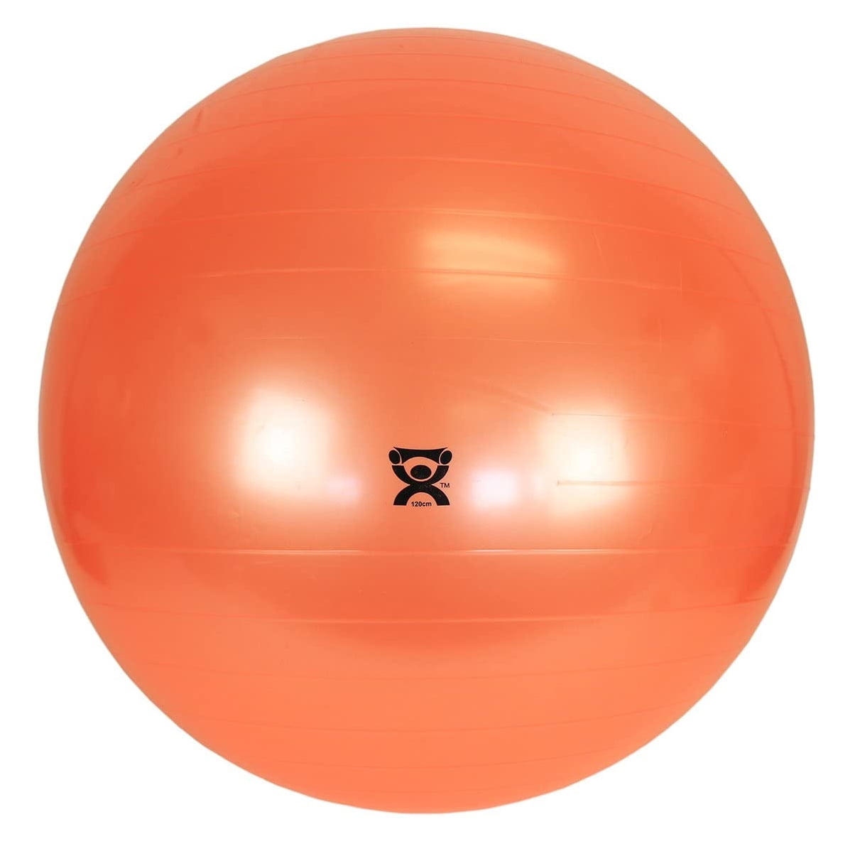 Fabrication Enterprises CanDo 48 Inch Inflatable Exercise Ball, Core ...