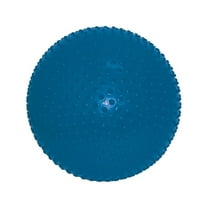 CanDo\xc2\xae Inflatable Stability Exercise Yoga Ball - Blue - 42" (105 ...