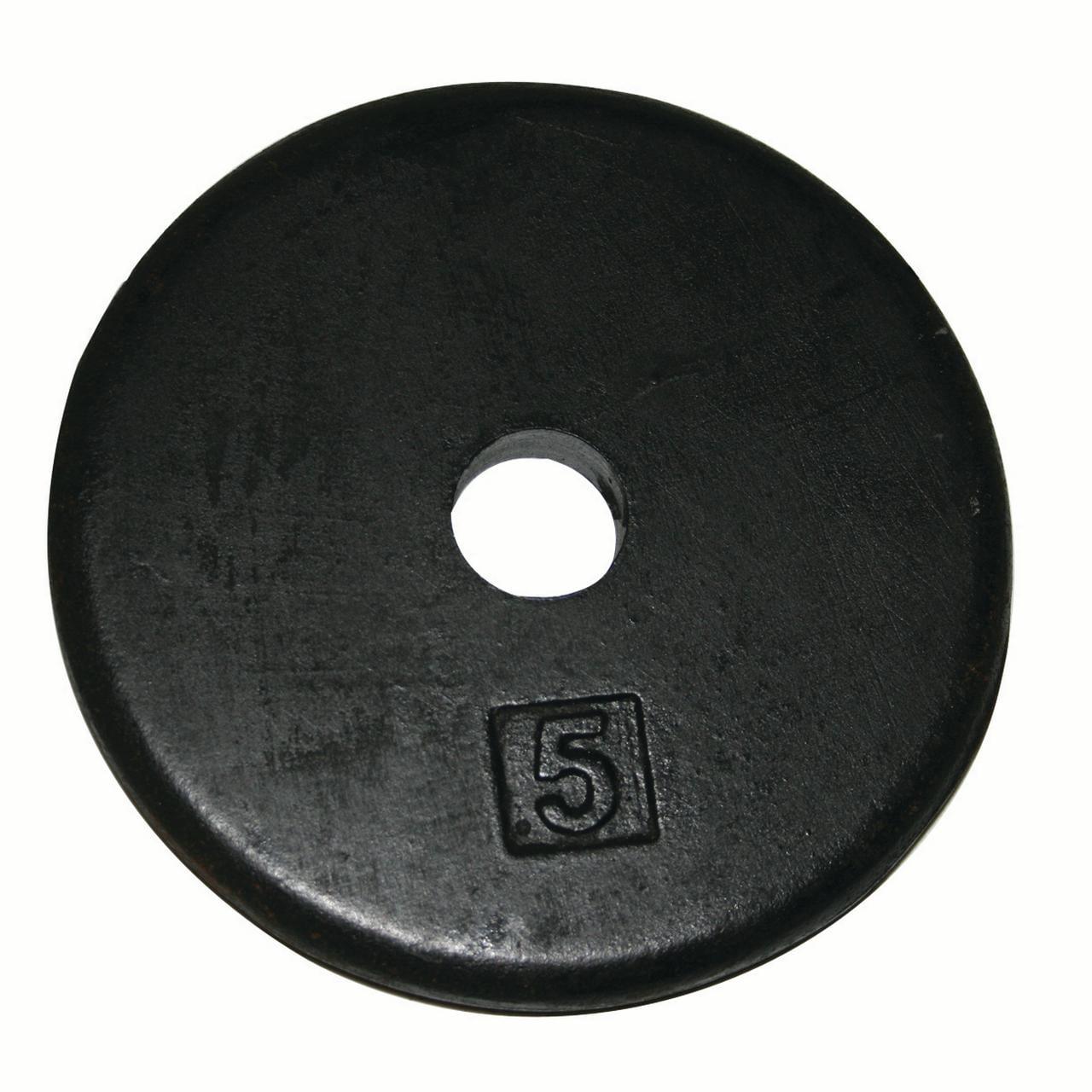 CanDo Iron Disc Weight Plate for Home Gym and Professional Use ...