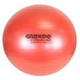 CanDo Non-Slip Super Thick Inflatable Exercise Ball - Walmart.com