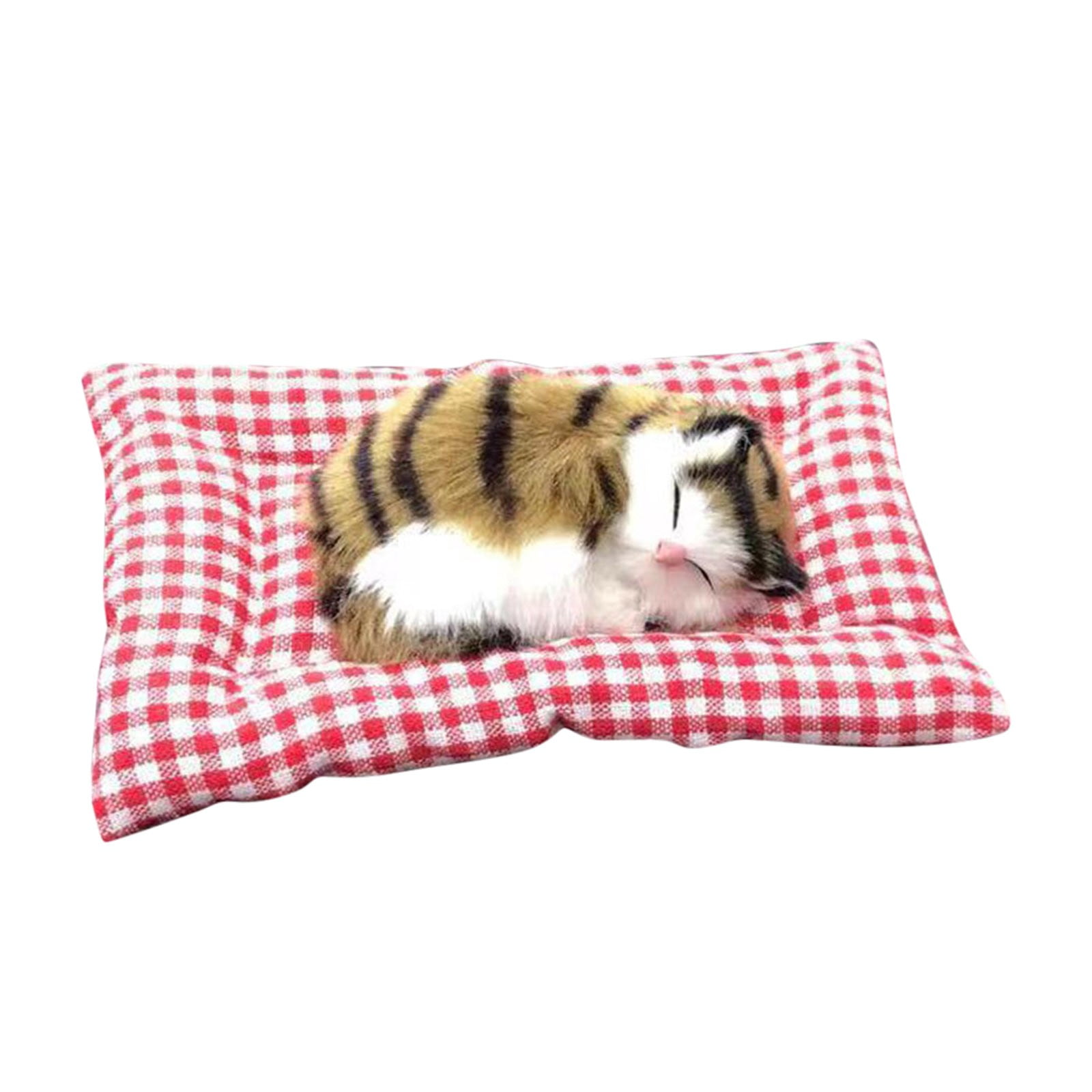 CanGonggg Funny Toys Cat In SLEEPING Doll Toy Mini Cat In Shoe With ...