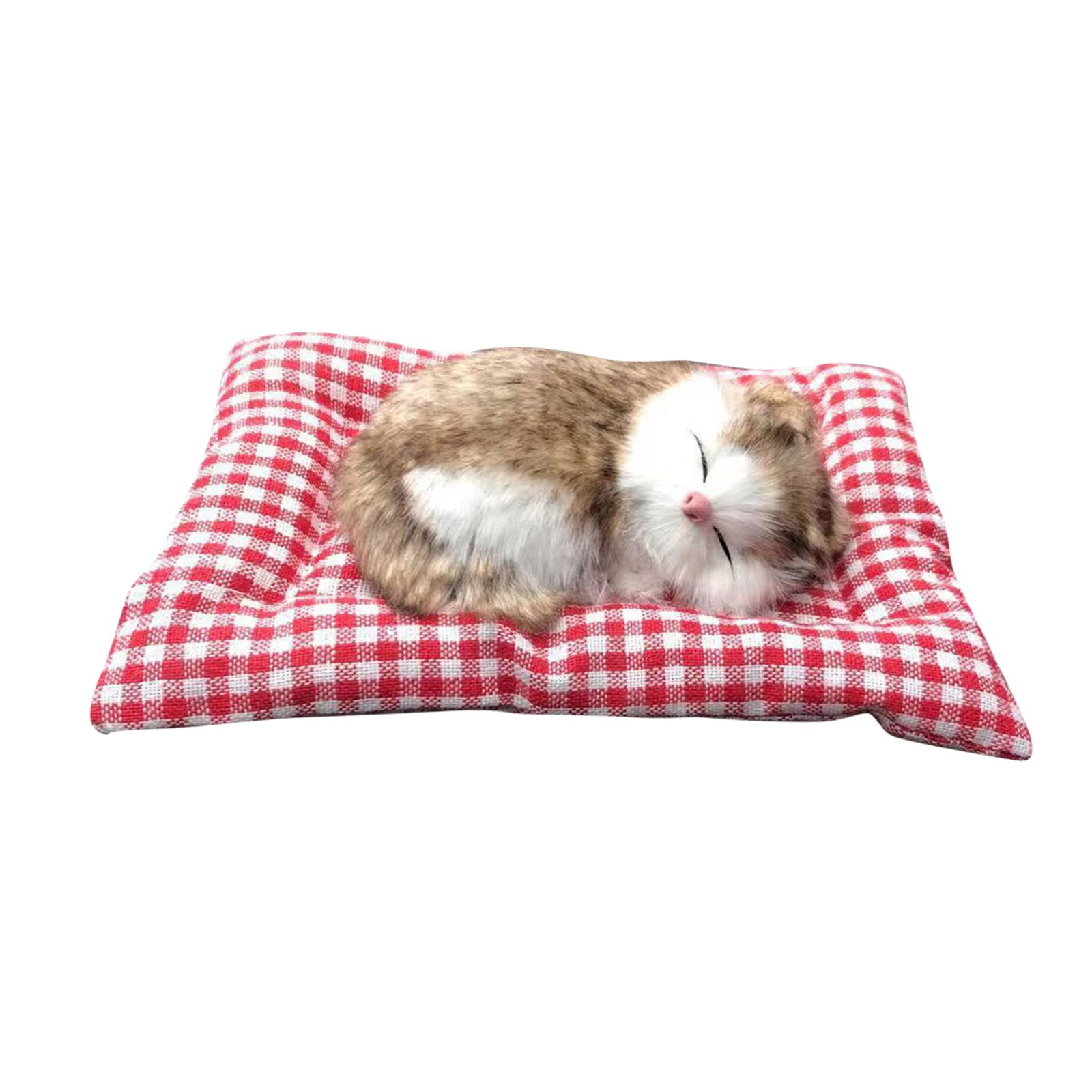 CanGonggg Funny Toys Cat In SLEEPING Doll Toy Mini Cat In Shoe With ...