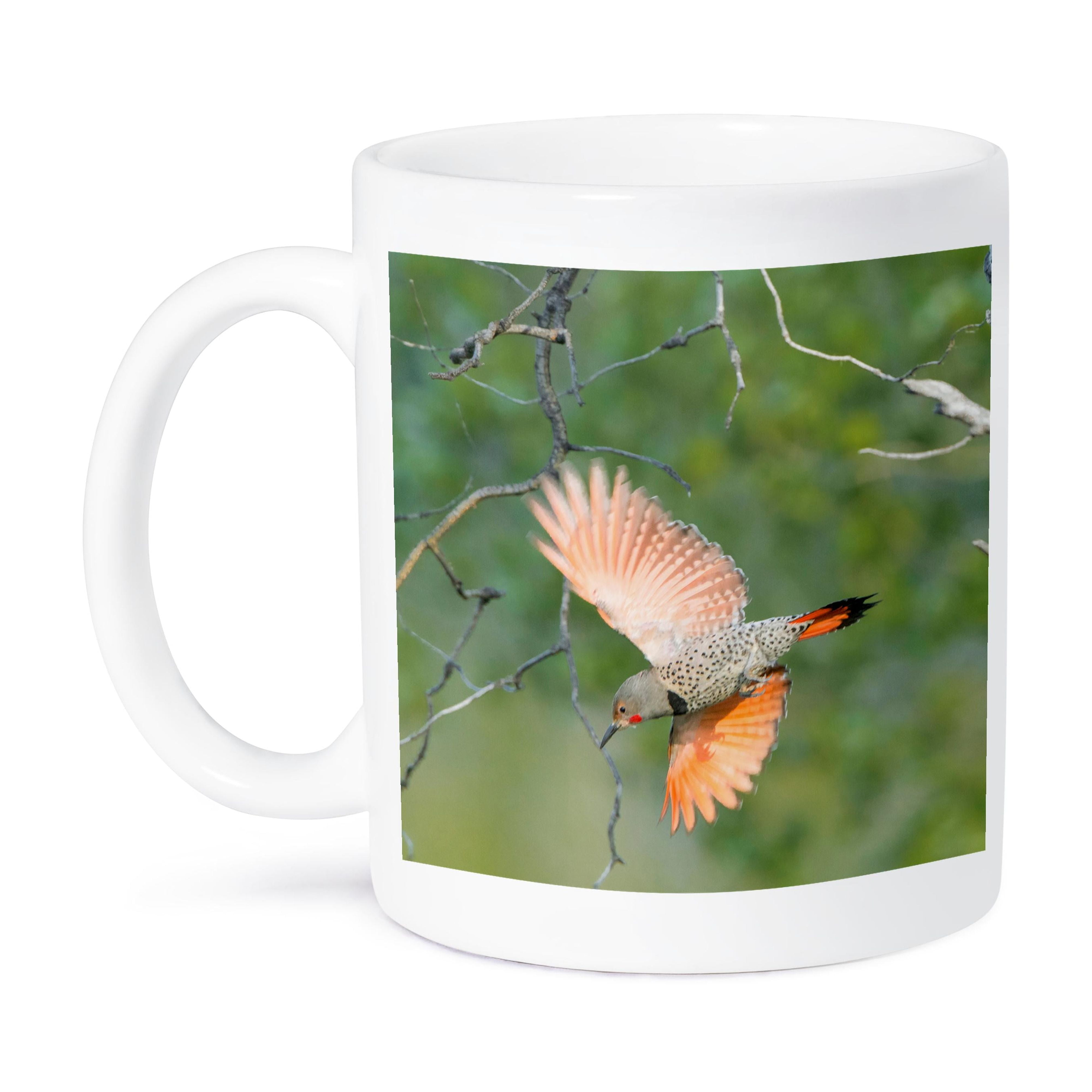 Canada, B.C., Adult Male Northern Flicker Flies From Nest Hole., 15oz ...