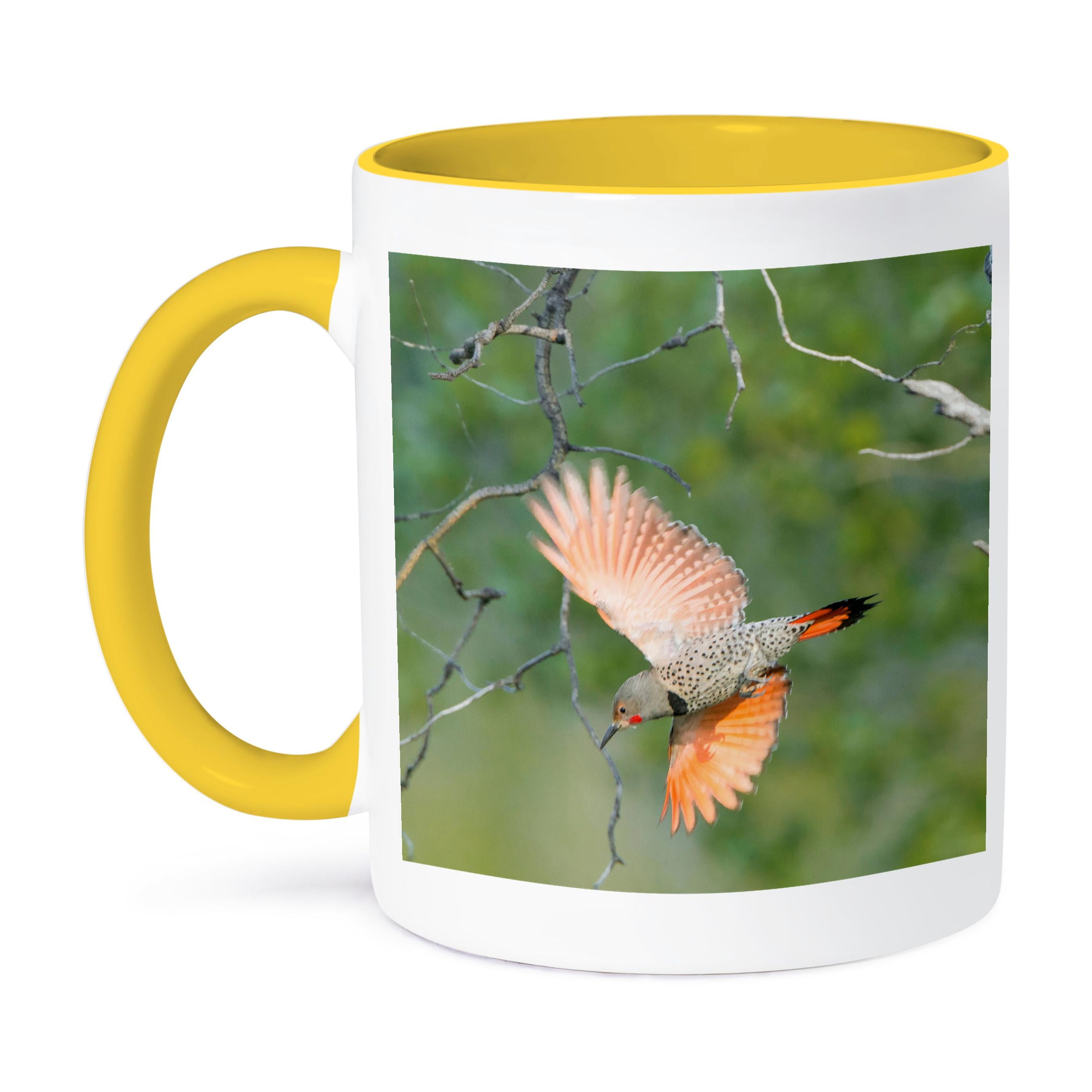 Canada, B.C., Adult Male Northern Flicker Flies From Nest Hole., 15oz ...