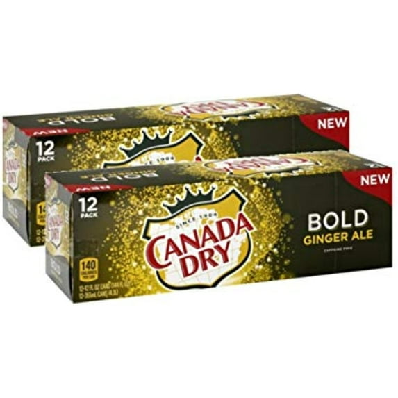 Canada Dry Bold Ginger Ale Caffeine-Free Soda Beverage Cans - 24 Pck ...