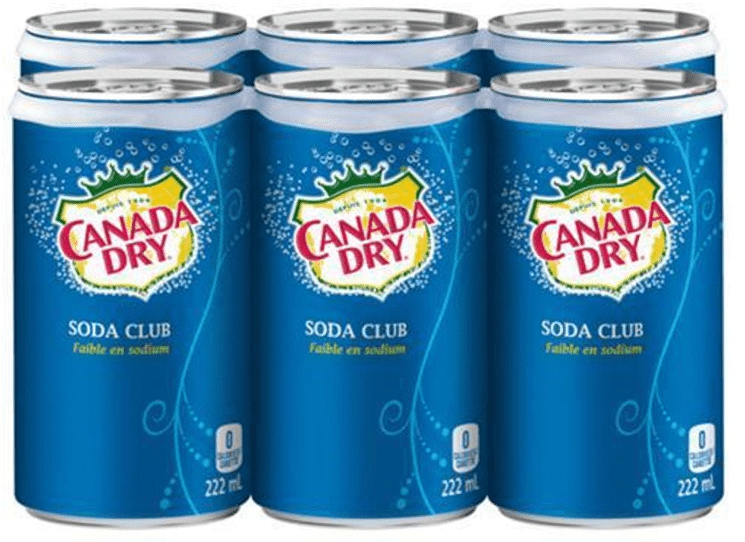 Canada Dry Club Soda Soft Drink, Mini Cans 7.5oz, Pack of 12 - Walmart.com