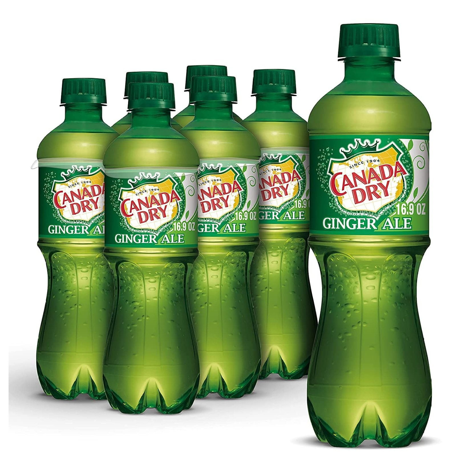 Canada Dry Ginger Ale, 16.9 oz (0.5 Liter), 12 Bottles - Walmart.com