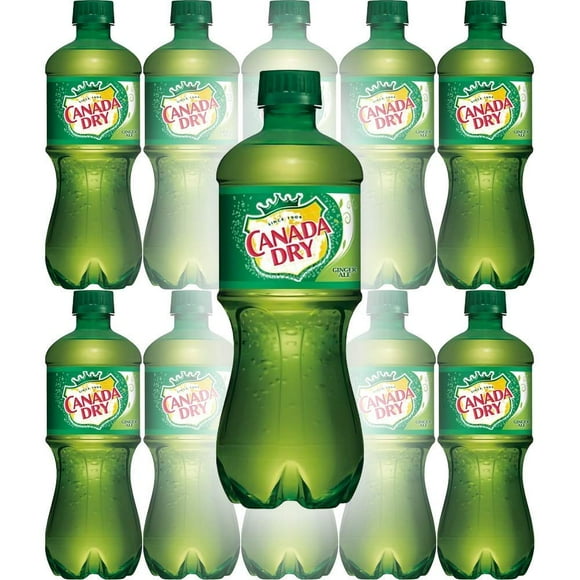 Canada Dry in Soda Pop - Walmart.com