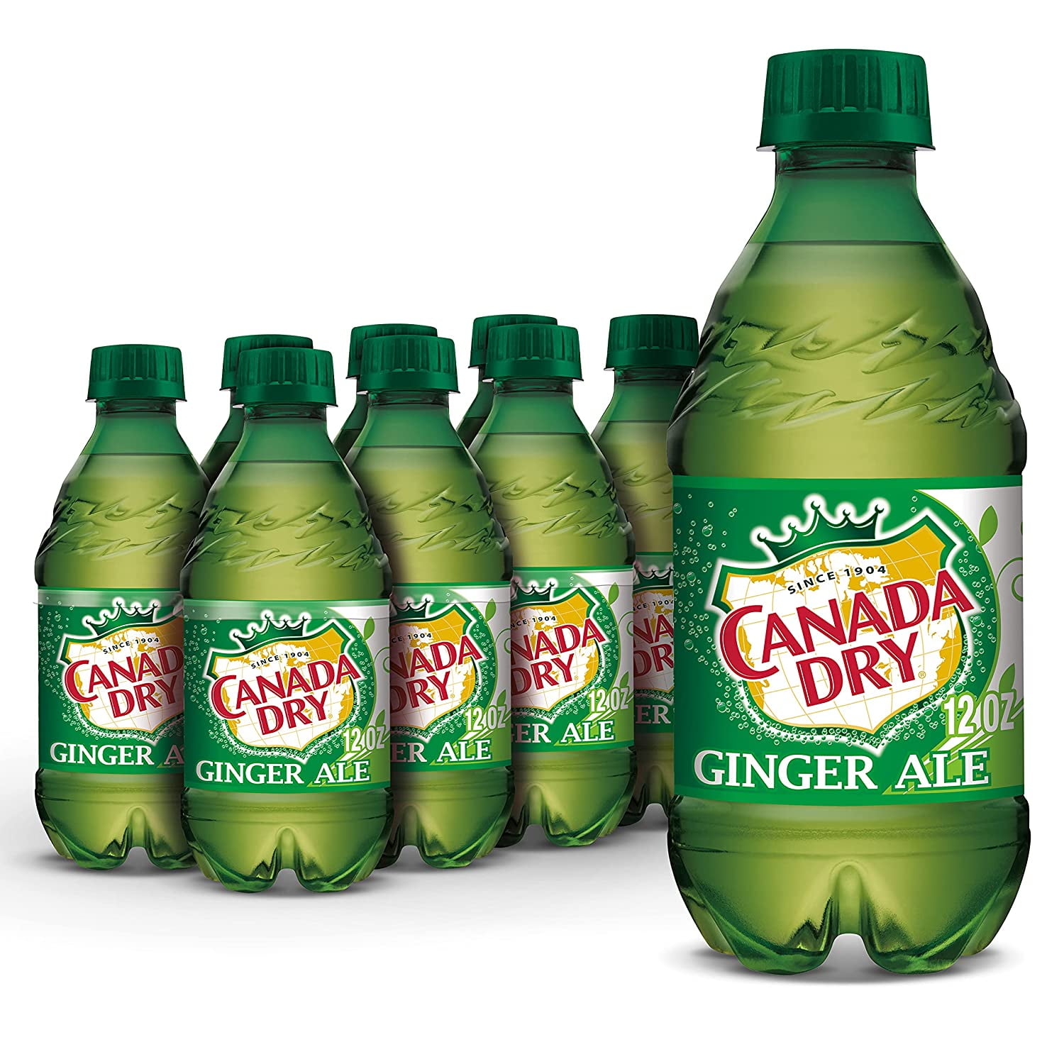Canada Dry Ginger Ale, 12 Fl Oz Cans, Pack of 8, Refreshing Soda Drink ...
