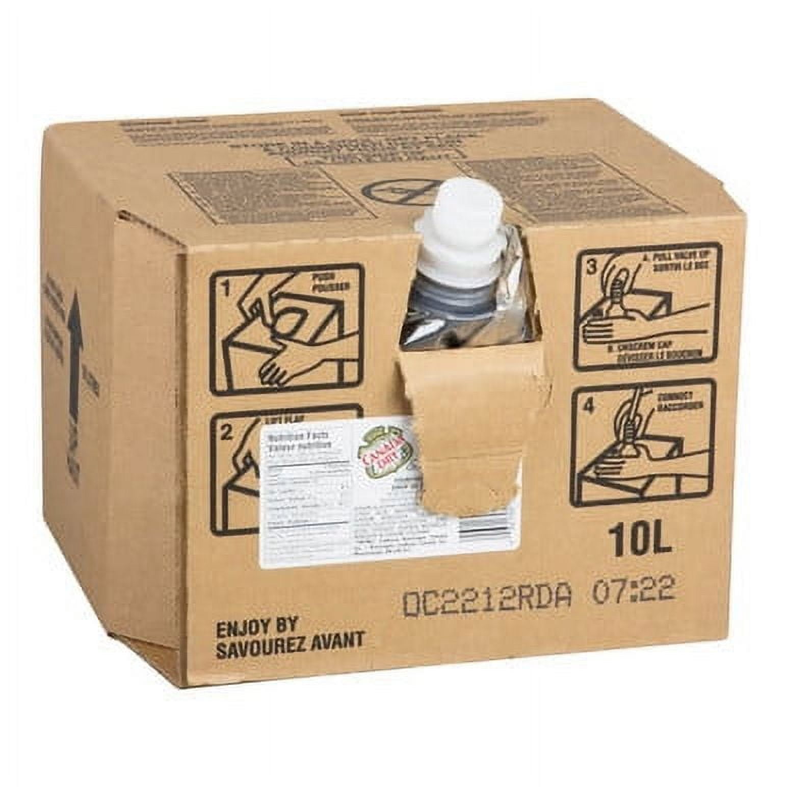 Canada Dry Ginger Ale Soft Drink Postmix Bib - 10L/Unit - Walmart.com