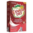 Canada Dry Zero Sugar Soda Flavoring Cranberry Ginger Ale Powder Drink ...