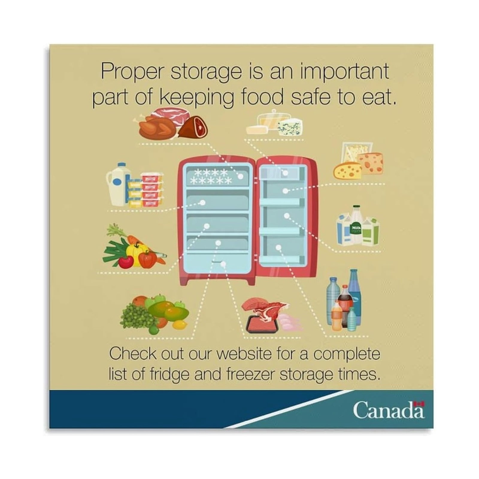 Canada Food Safety Fridge Storage Guide Poster Canvas Painting ...
