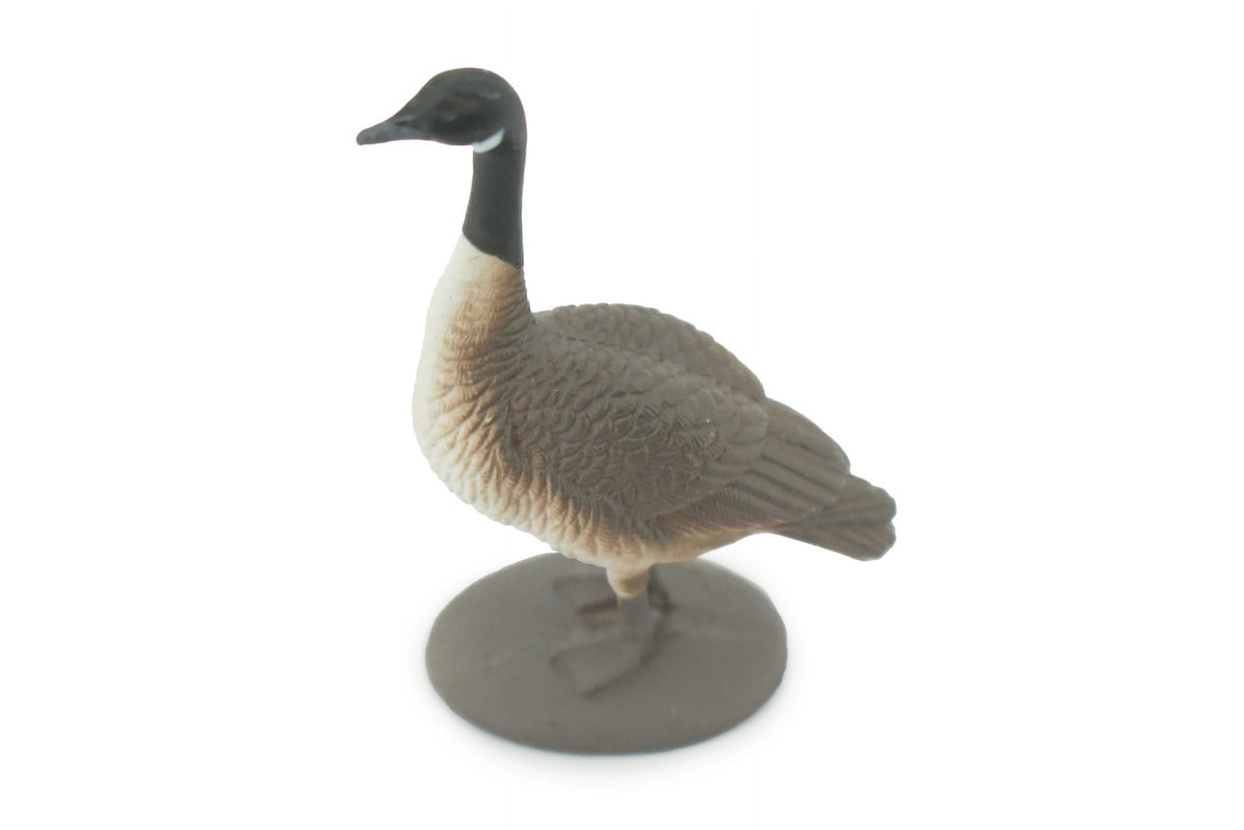 Canada Goose, Honker, Hand Painted, Educational, Rubber Bird, Realistic ...