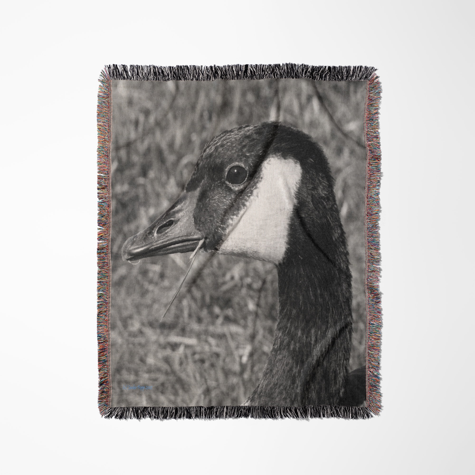 Canada Goose In Black And White, Woven Blanket - Walmart.com