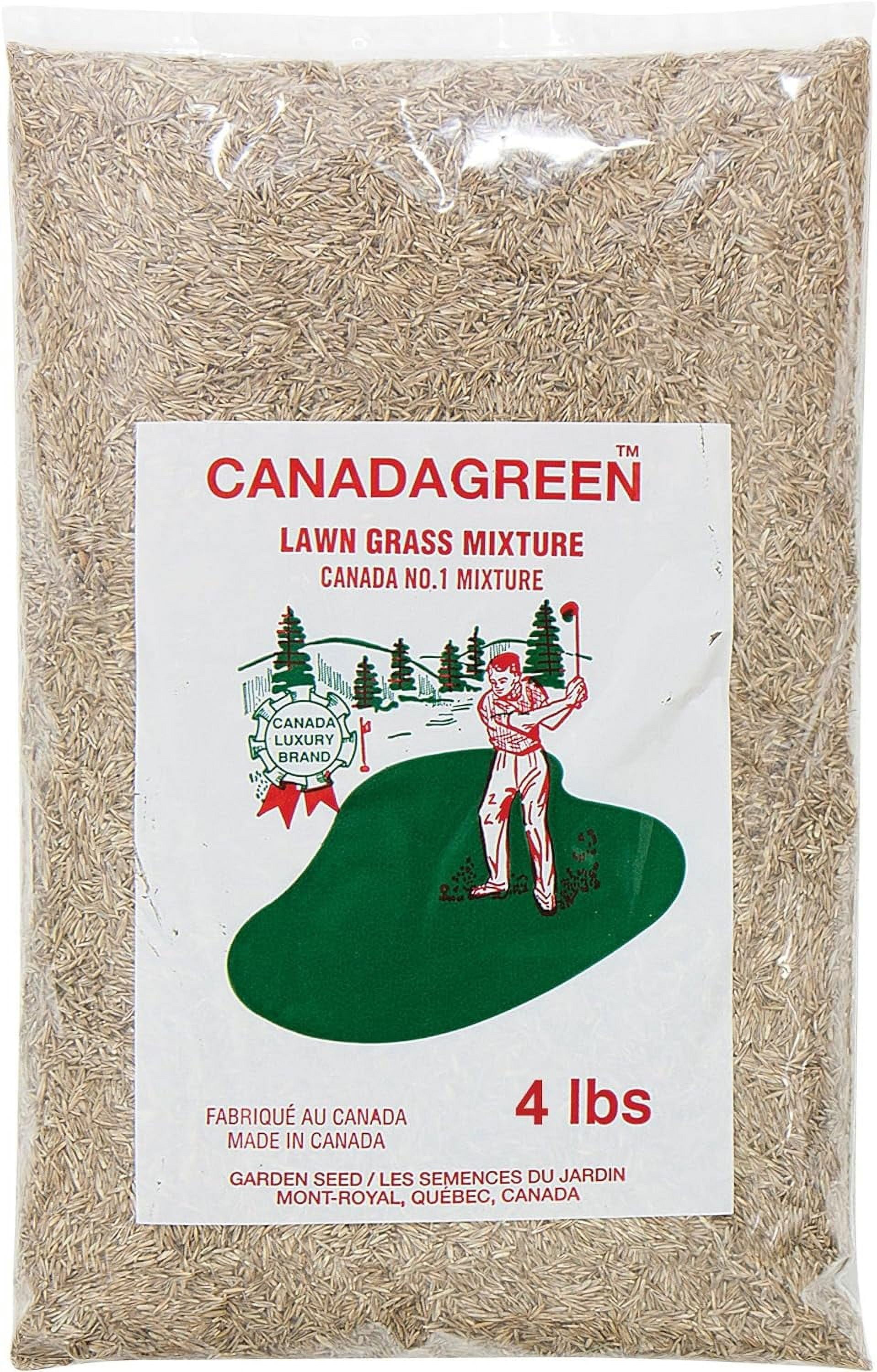 Canada Green Grass Lawn Seed - 4 Pound Bag Grows Healthy Rich Green ...