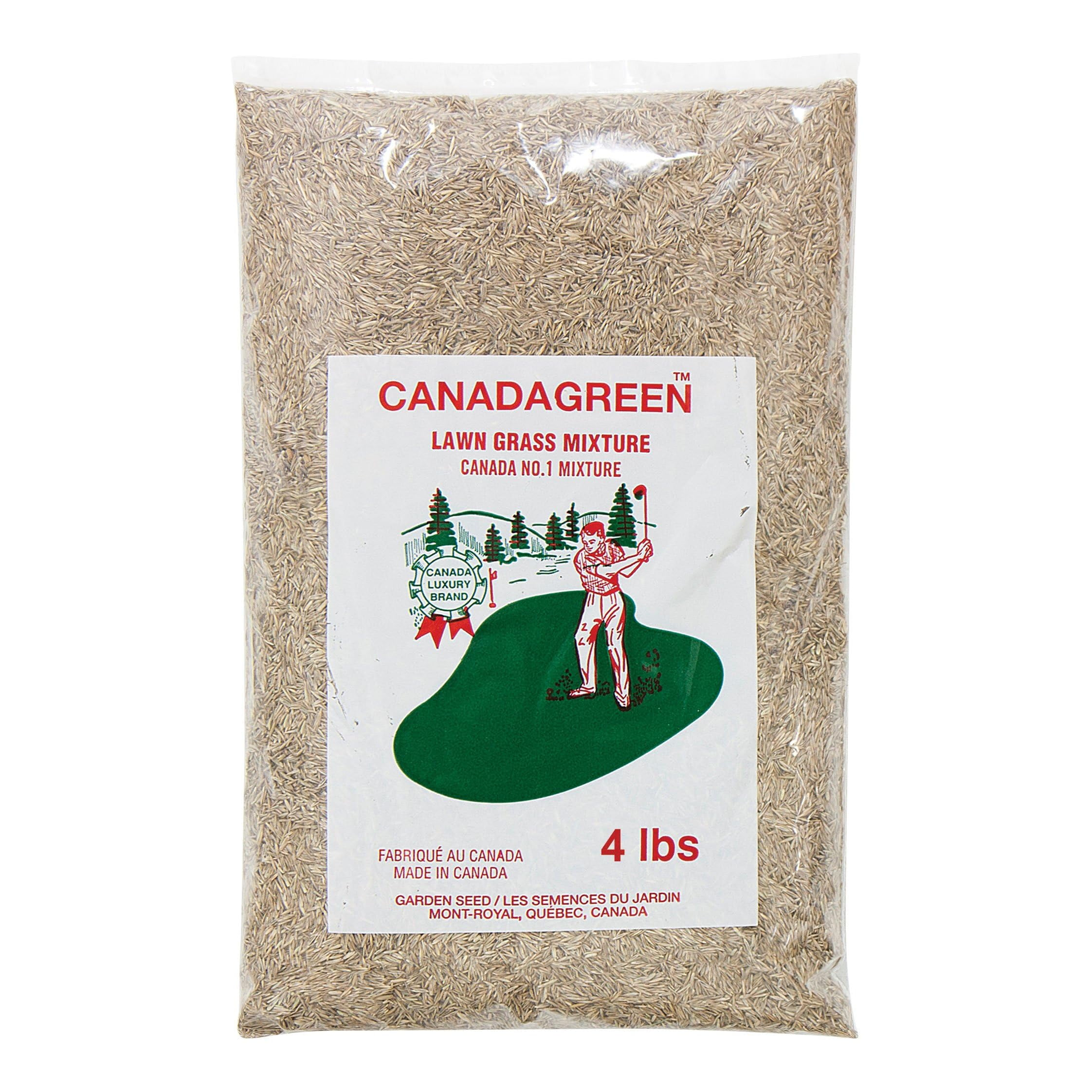 Canada Green Grass Lawn Seed - ITL1 4 Pound Bag Grows Healthy Rich ...