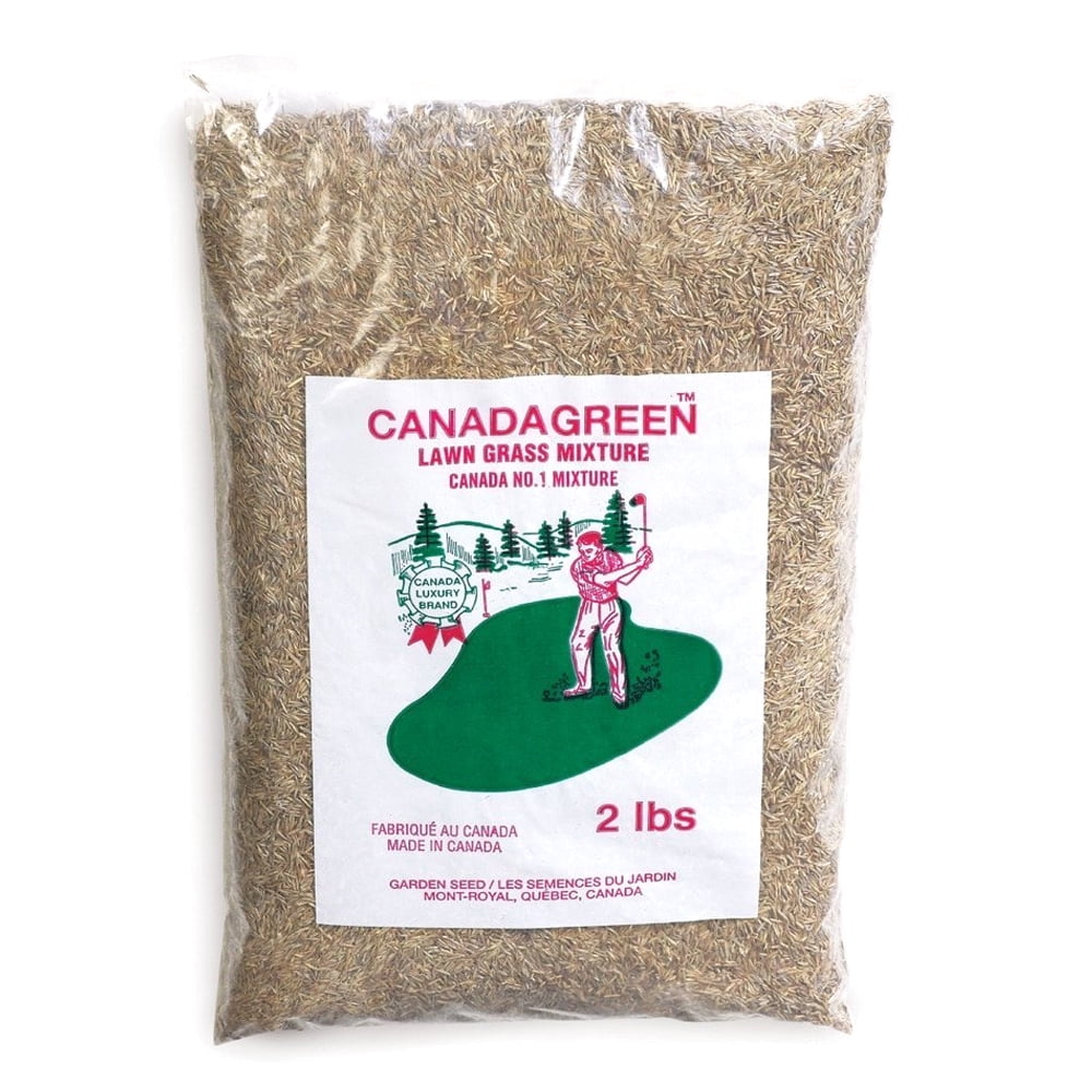 Canada Green Grass Seed 4 Pound Bag, Fast Growing Lawn Seed for Sun and ...