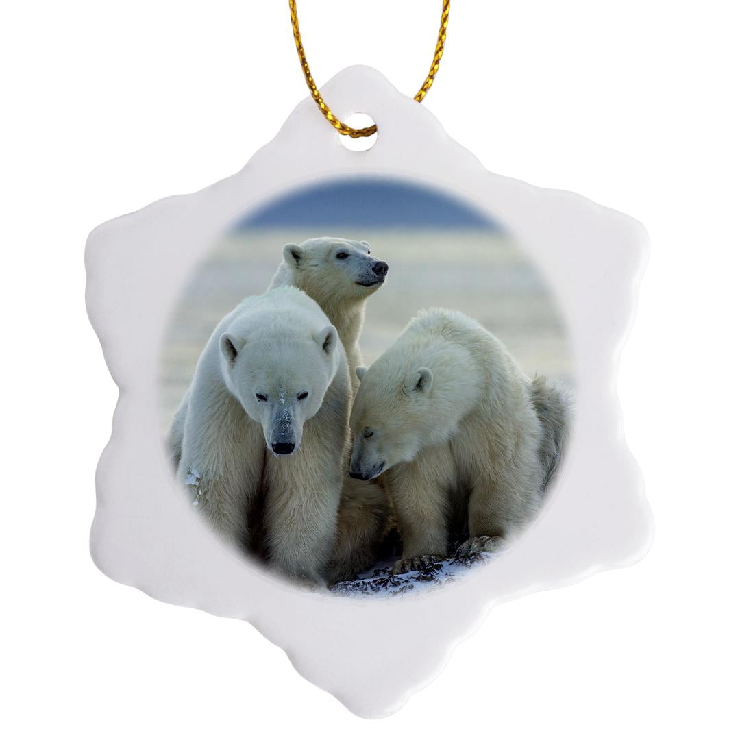 3drose, Canada, Manitoba, Churchill. Hudson Bay Polar Bear Mother and ...