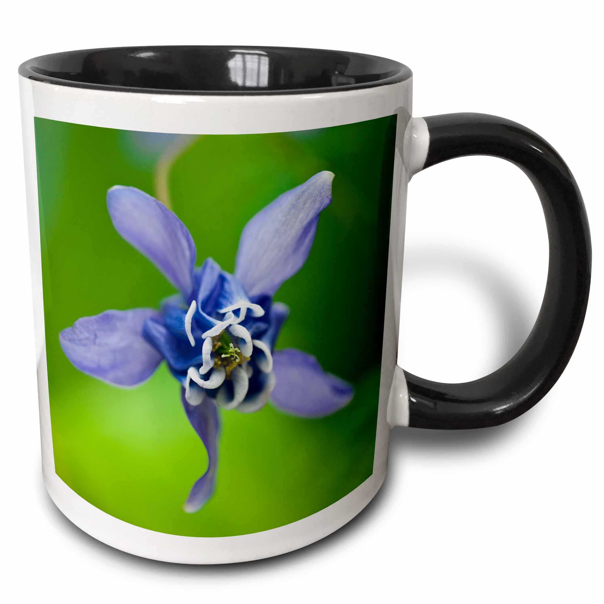 Canada, Manitoba, Winnipeg. Blue columbine flower. 11oz Two-Tone Black ...