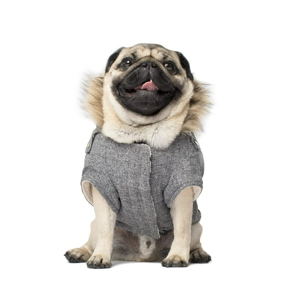 Salt And Pepper Dog Costume