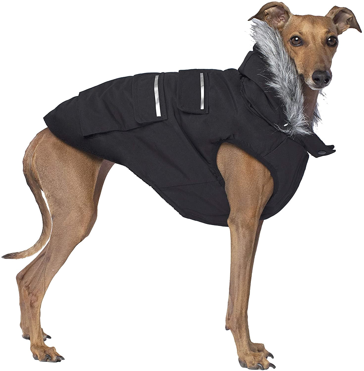 Canada Pooch Everest Explorer Fleece Lined Insulated Dog Coat (Black ...