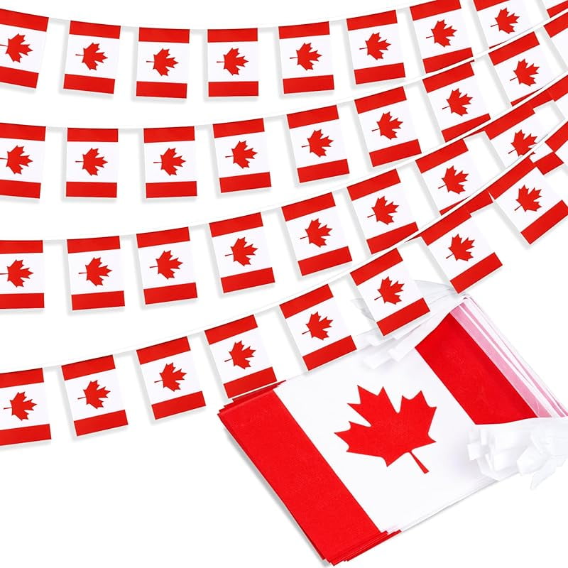 Canada String Flag Pennant Banner, Small Mini Canadian Flags Bunting ...