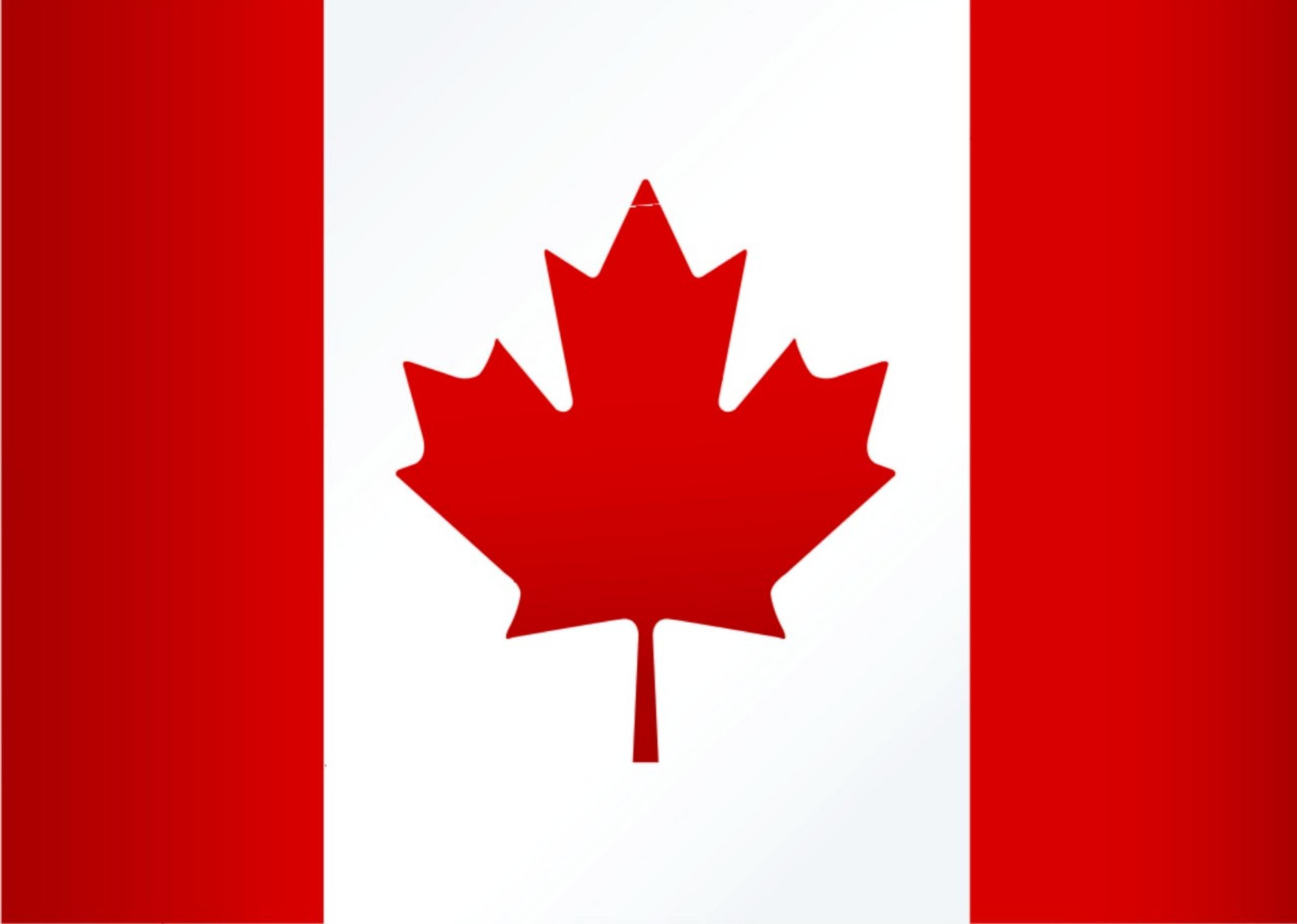 Canadian Flag Disability Hindrance Obstacle Impaired Hinder Impede ...