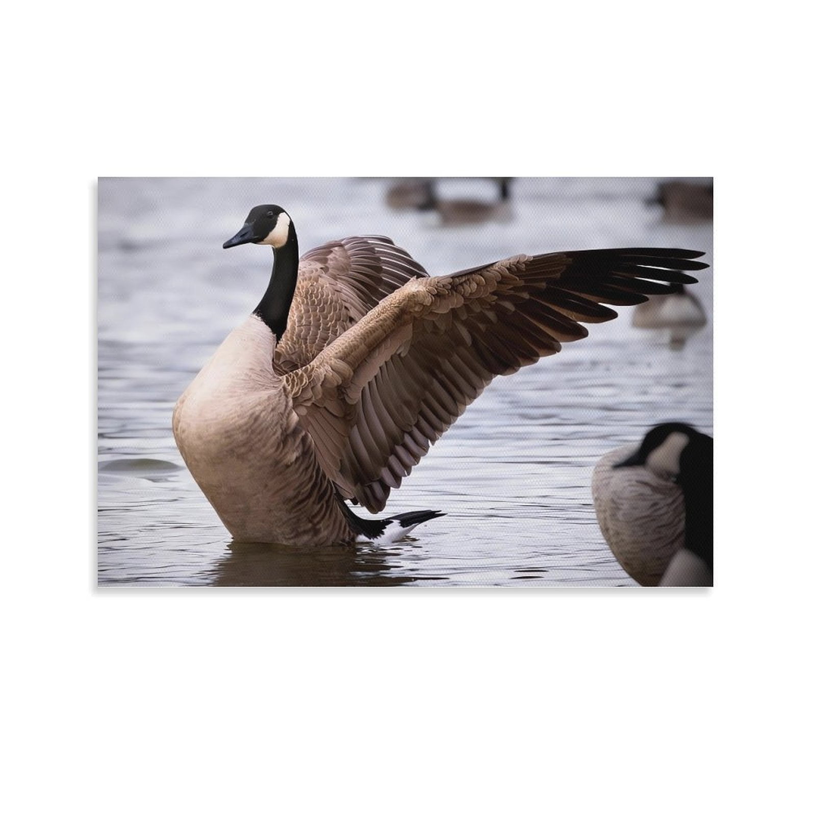 Canadian Goose Poster Cool Artworks Painting Wall Art Canvas Prints ...
