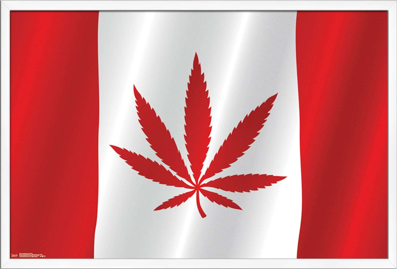 Canadian Hemp Flag Wall Poster, 22.375" x 34", Framed - Walmart.com