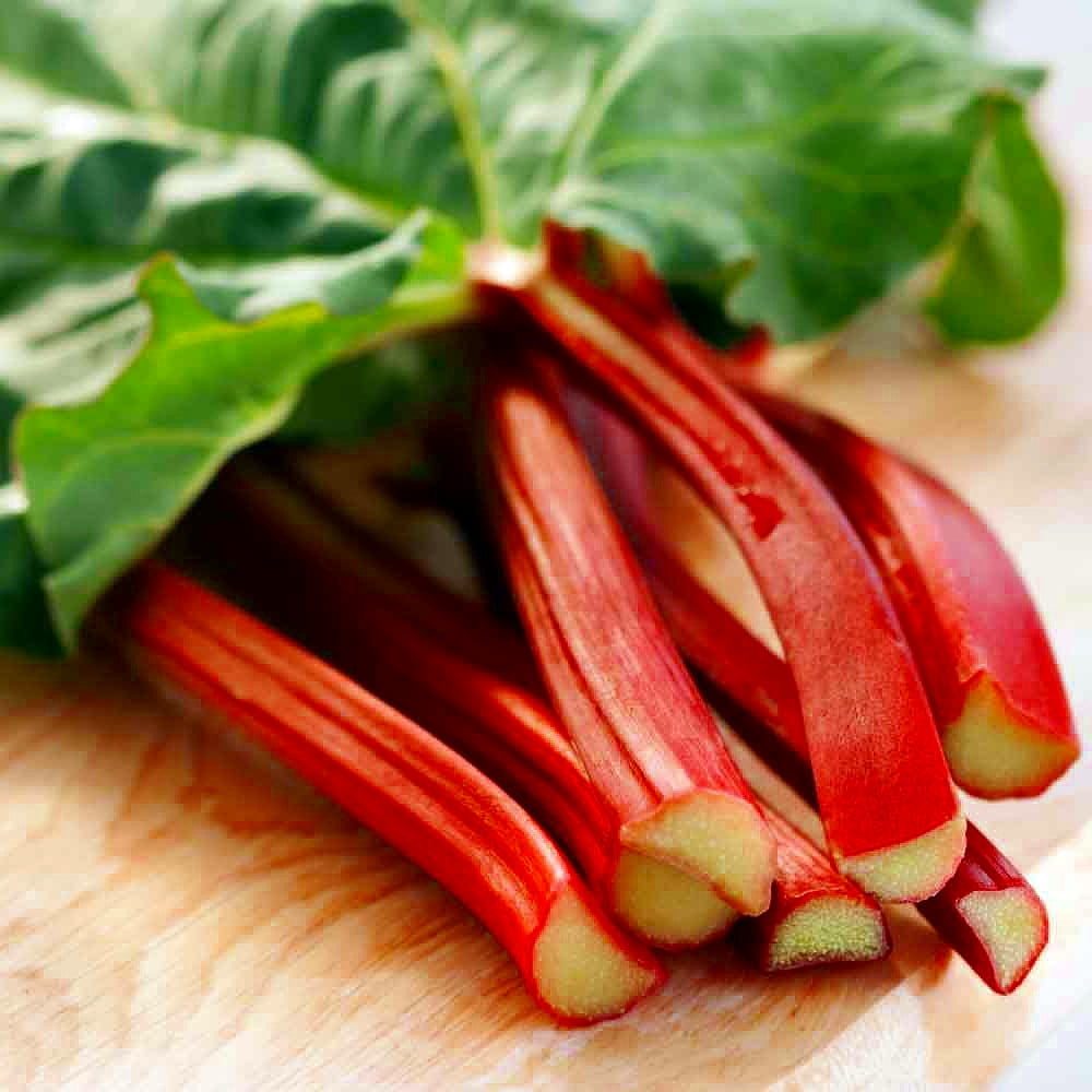 Canadian Red Rhubarb - The Pie Plant! - Hardy - #1 Top Size Root ...