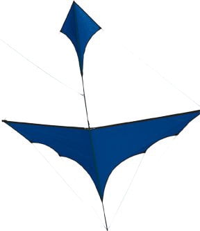 Canard Kite - Blue - Walmart.com