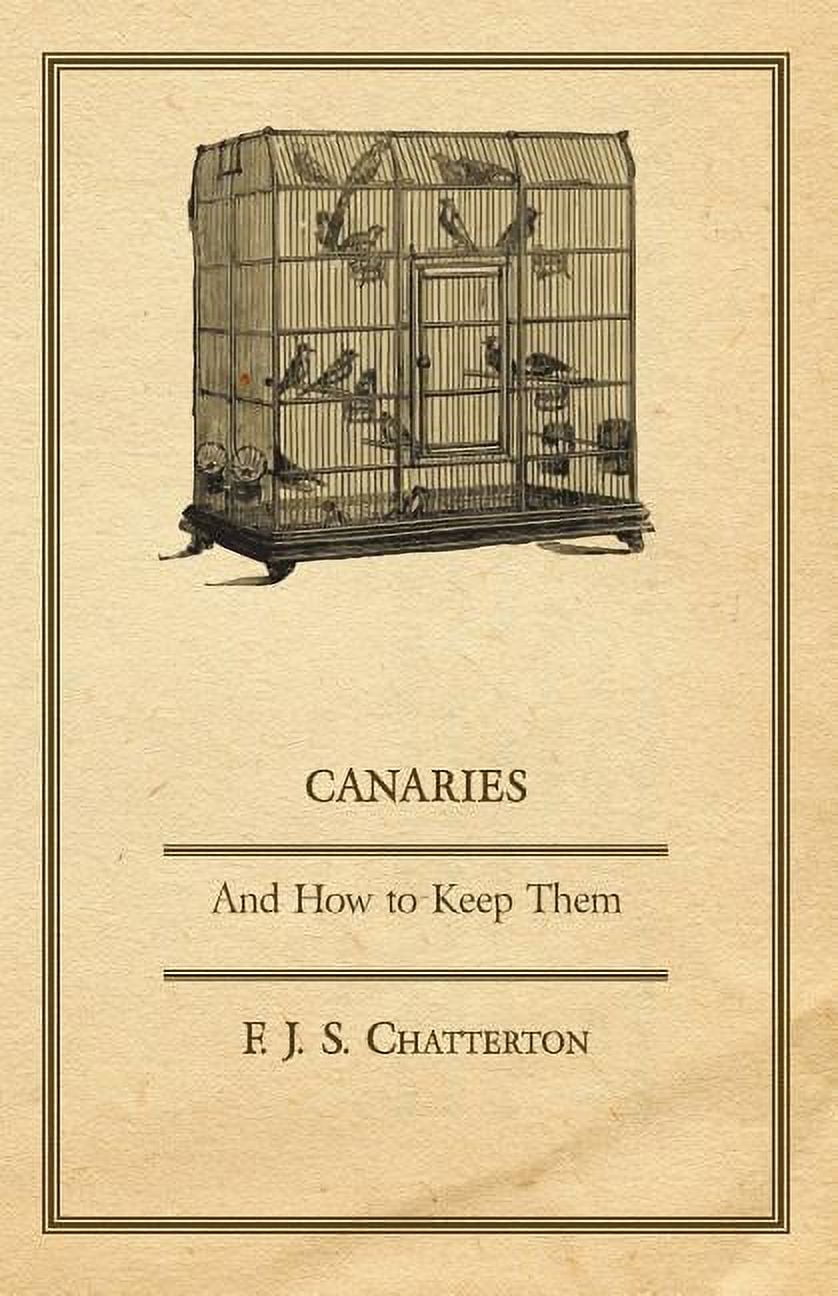 Canaries : And How to Keep Them (Paperback) - Walmart Business Supplies