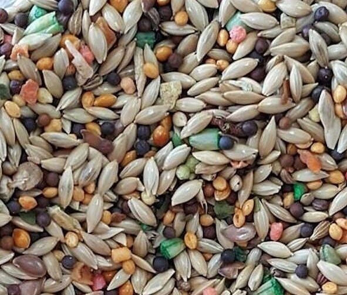 Canary Food Roller Cuisine Mix w/ Fruits, Vegetables & Vitamins ...