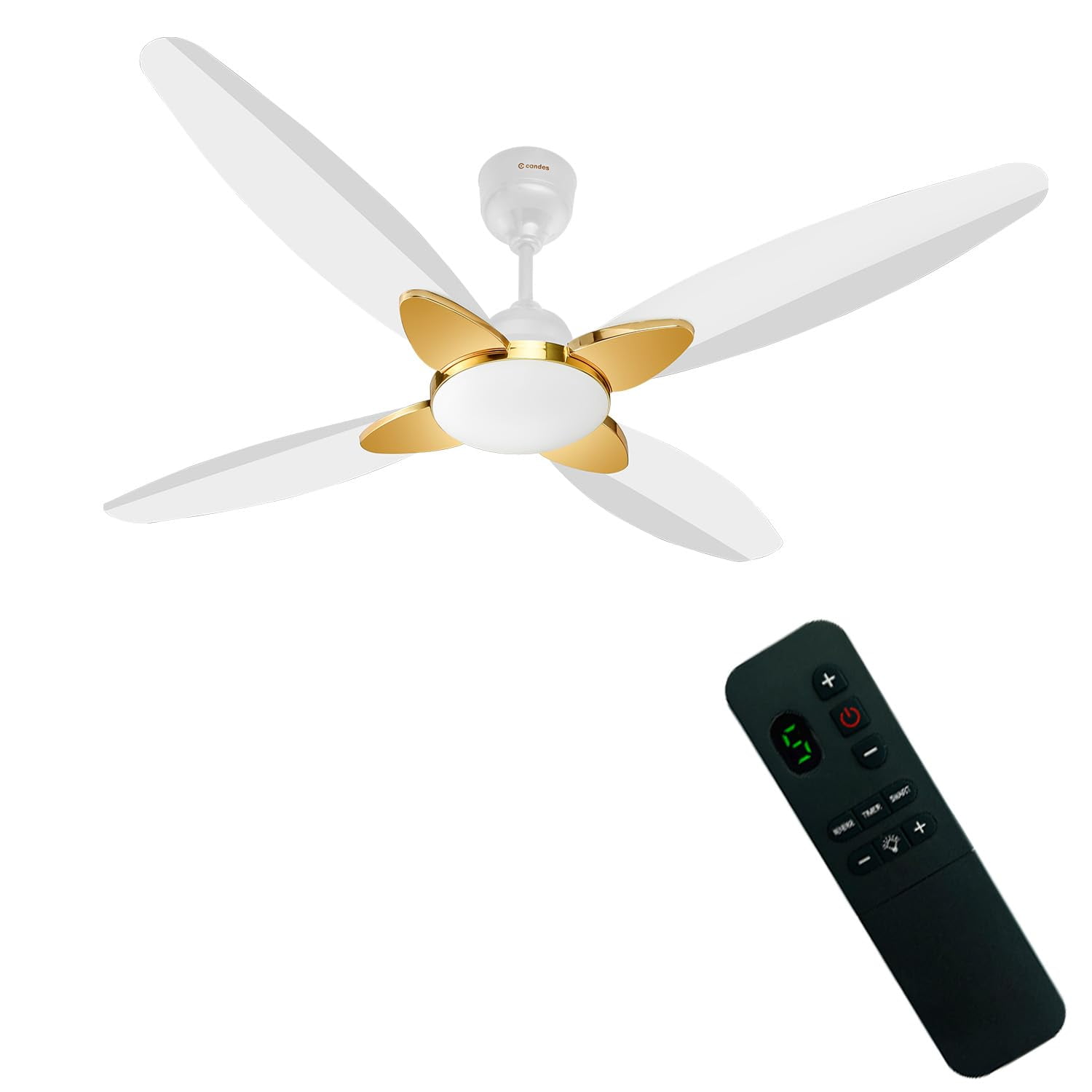 Candes EcoBreeze 1200mm BLDC Ceiling Fans for Home Digital Remote with ...