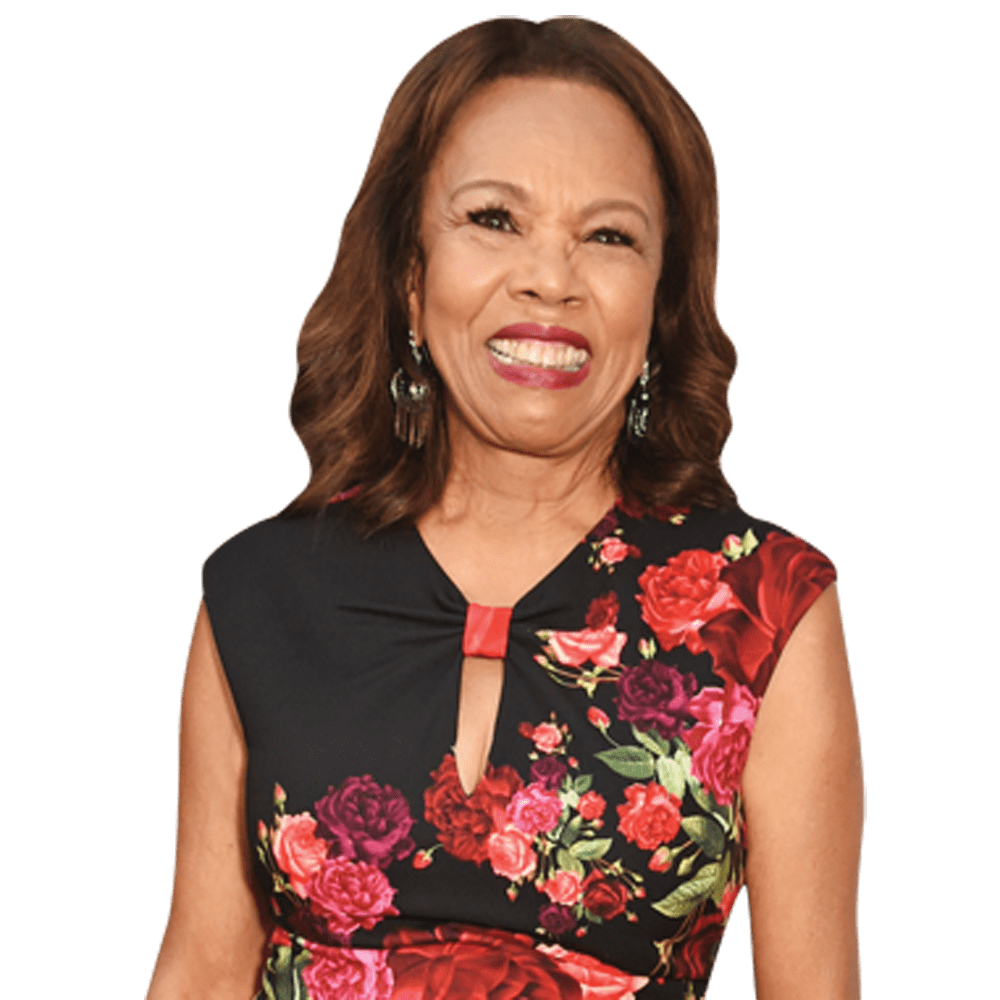 Candi Staton (Dress) Half Body Buddy Cutout - Walmart.com
