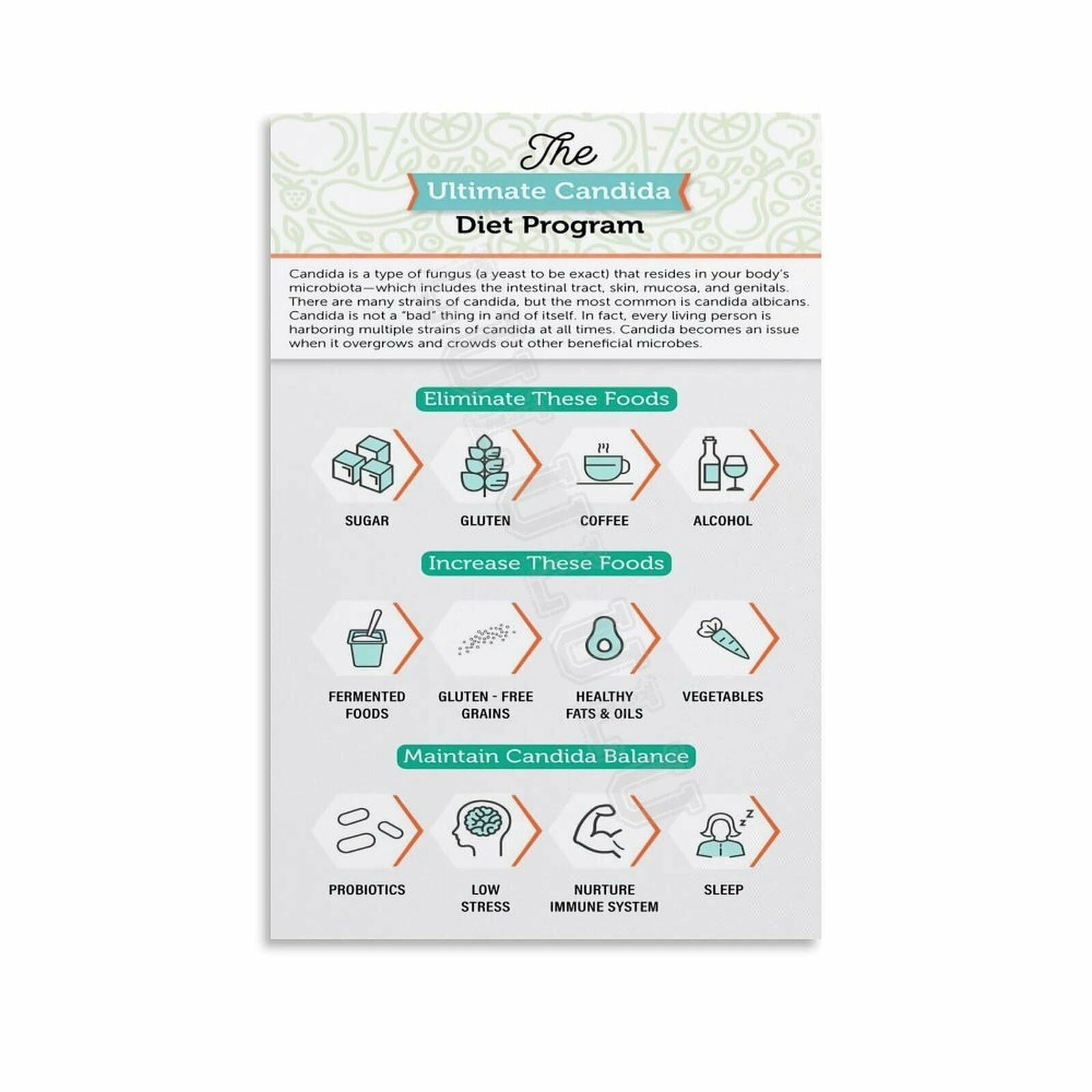 Candida Diet List Chart Poster Healthy Food Guide (1) Canvas Painting ...