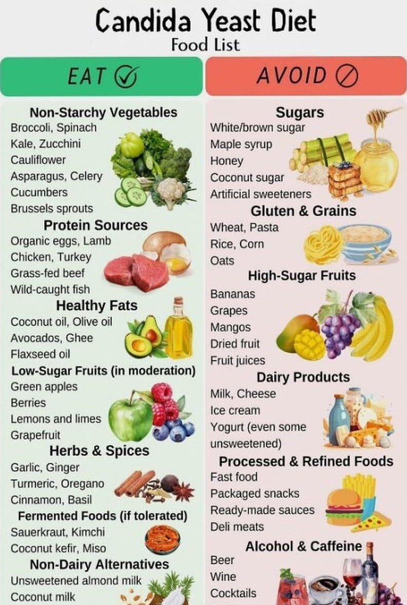 Candida Yeast Diet Food List Poster Suitable For Home Kitchen Dining ...