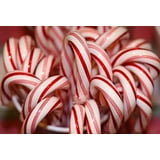 Candy Cane Fragrance Oil 16 oz Bottle Premium Grade for Candle and Soap ...