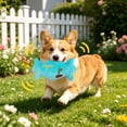 Candy-Shaped Squeaky Dog Toys, Plush Chew Toys with Fruit Prints for ...