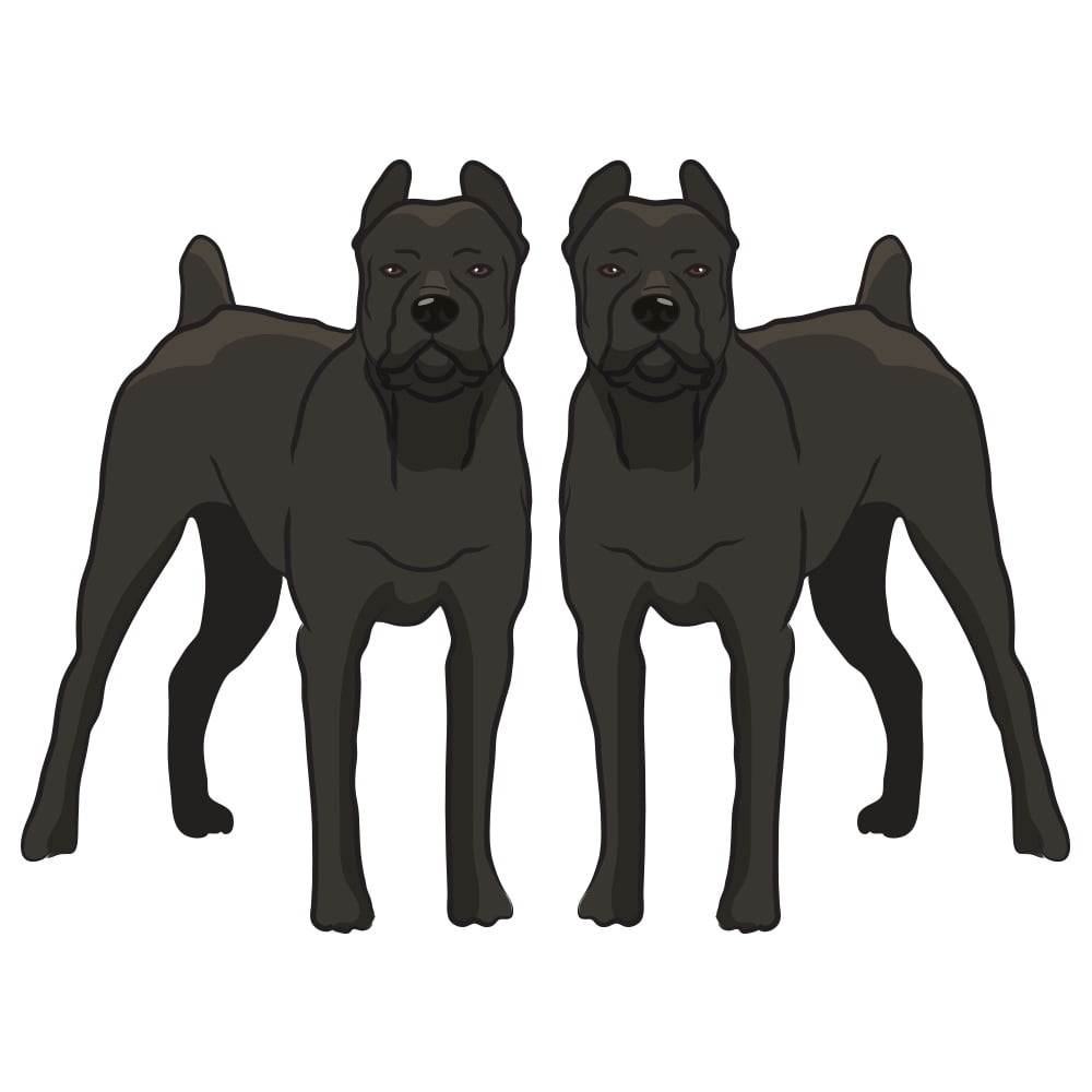 Cane Corso Decal | Indoor/Outdoor | Dog Lover Super Cute Sticker for ...