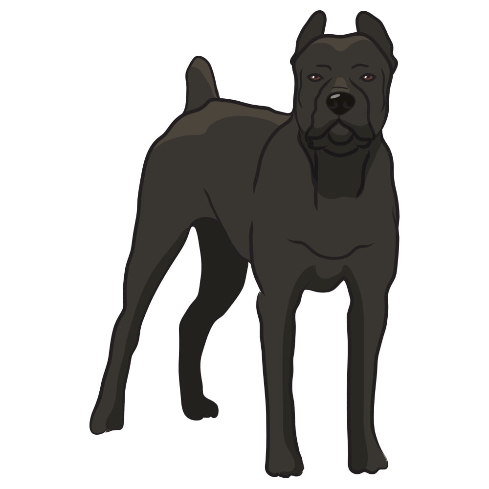 Cane Corso Decal | Indoor/Outdoor | Dog Lover Super Cute Sticker for ...