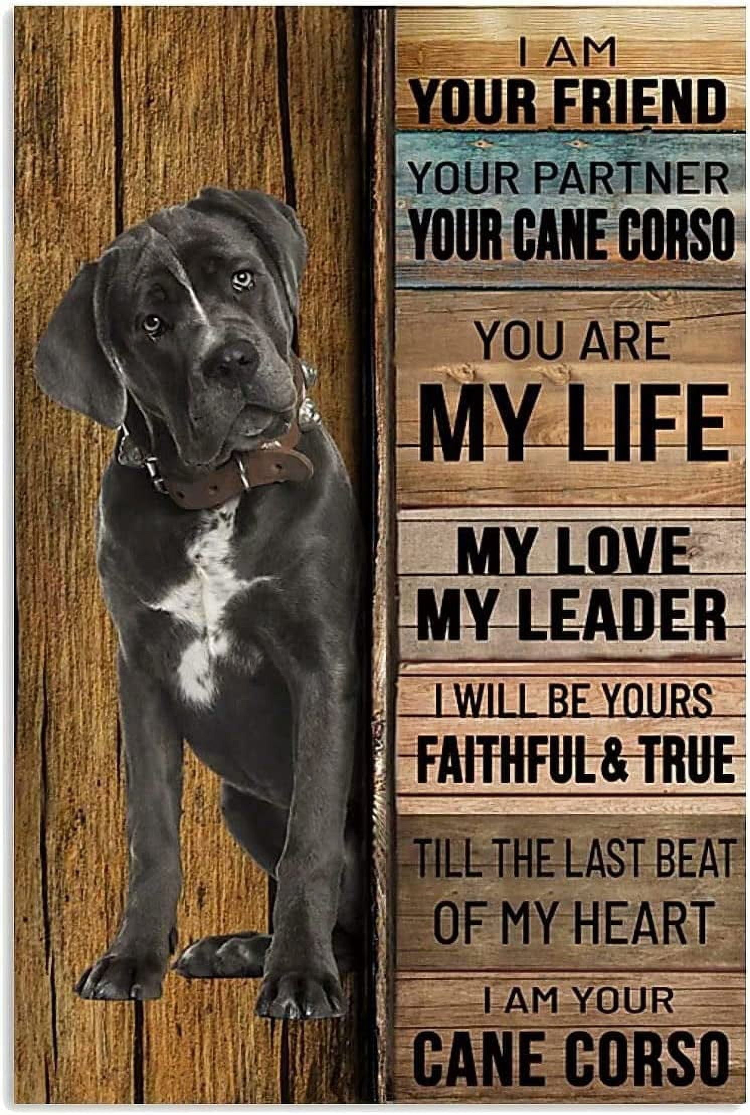 Cane Corso Diamond Art Kits for Adults- 5D Diamond Painting Kits I Am ...